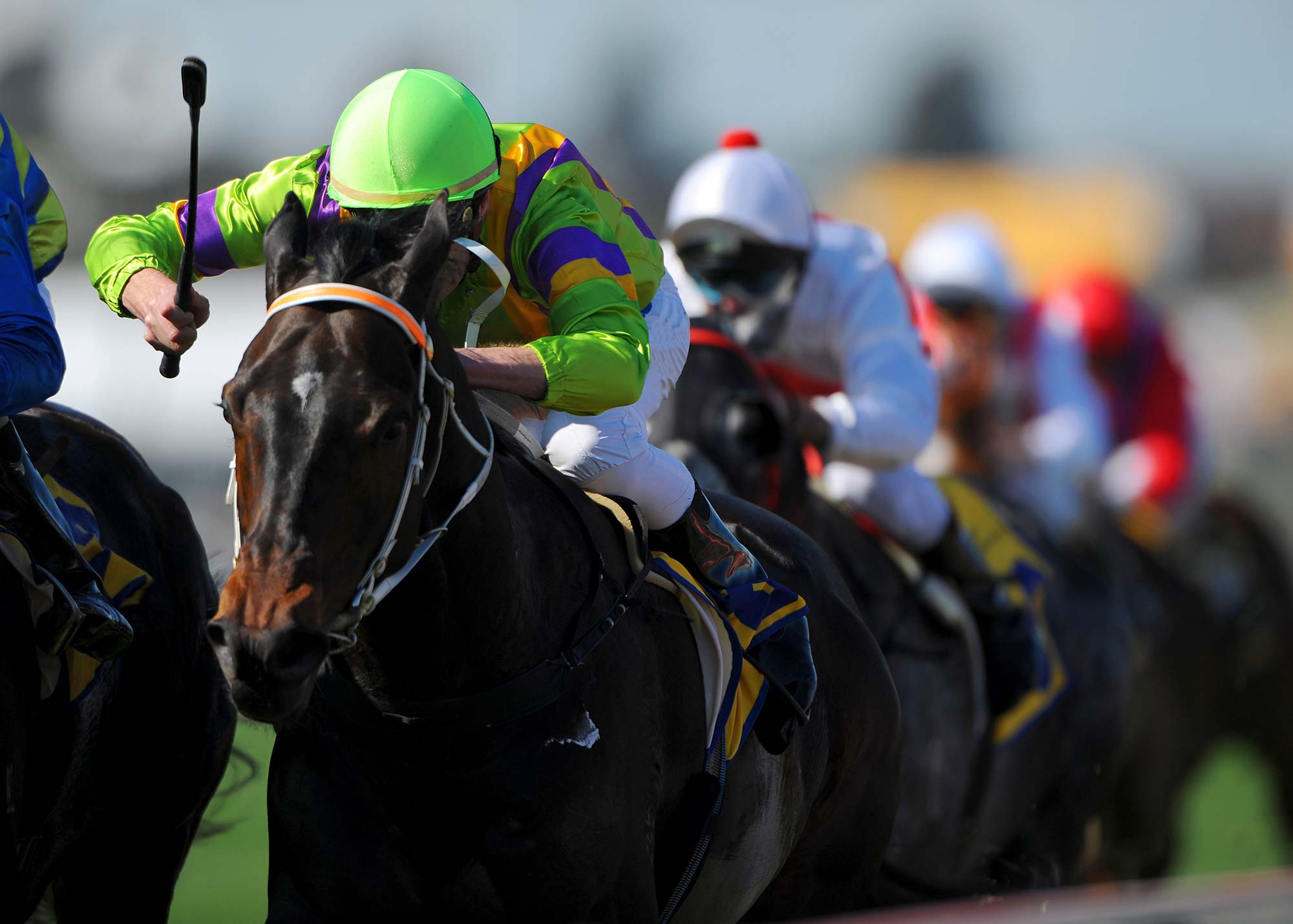 Professional Horse Racing Tipping Service - Elite Racing