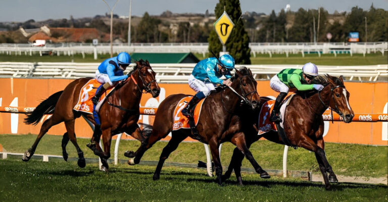 Professional Horse Racing Tipping Service - Elite Racing